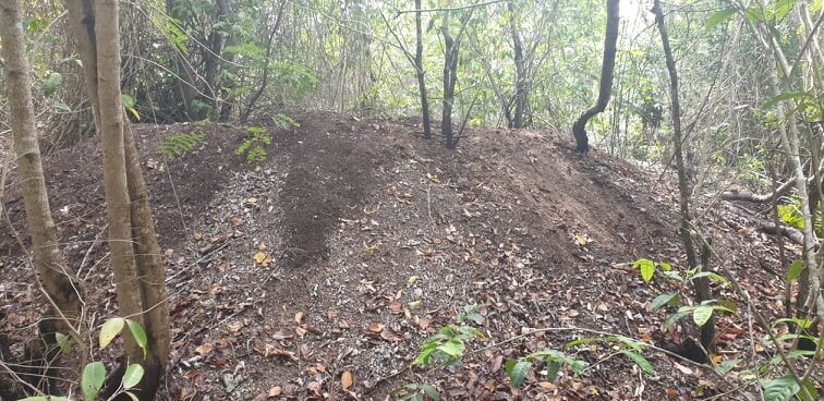 Unearthing Tabon Facts