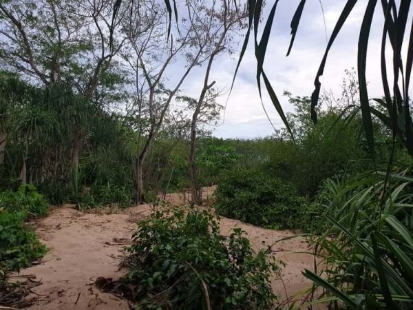 Unearthing Tabon Facts – PhilBio